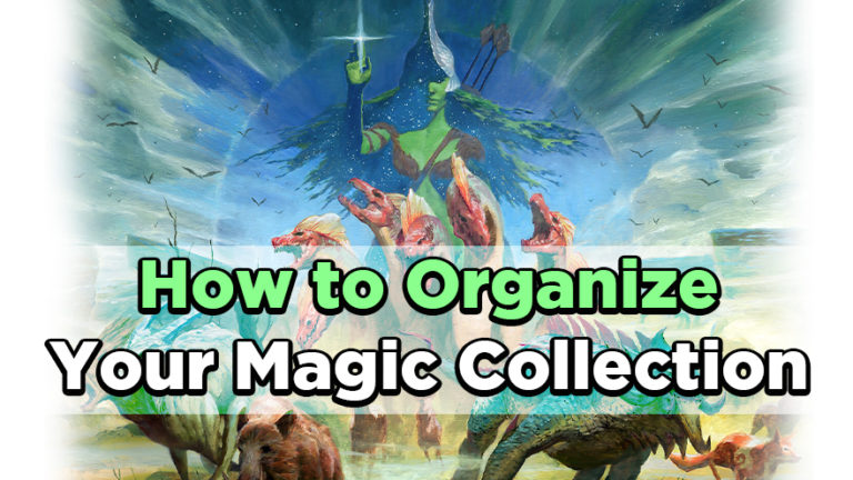 How to Organize Your Magic Collection - Card Kingdom Blog