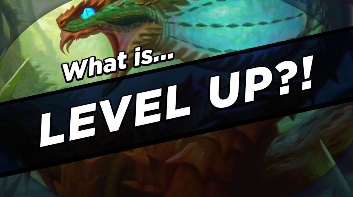 LEVEL UP - Card Kingdom Blog