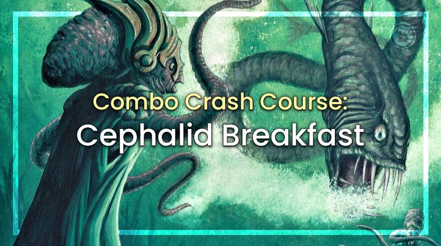 Combo Crash Course Cephalid Breakfast - Card Kingdom Blog
